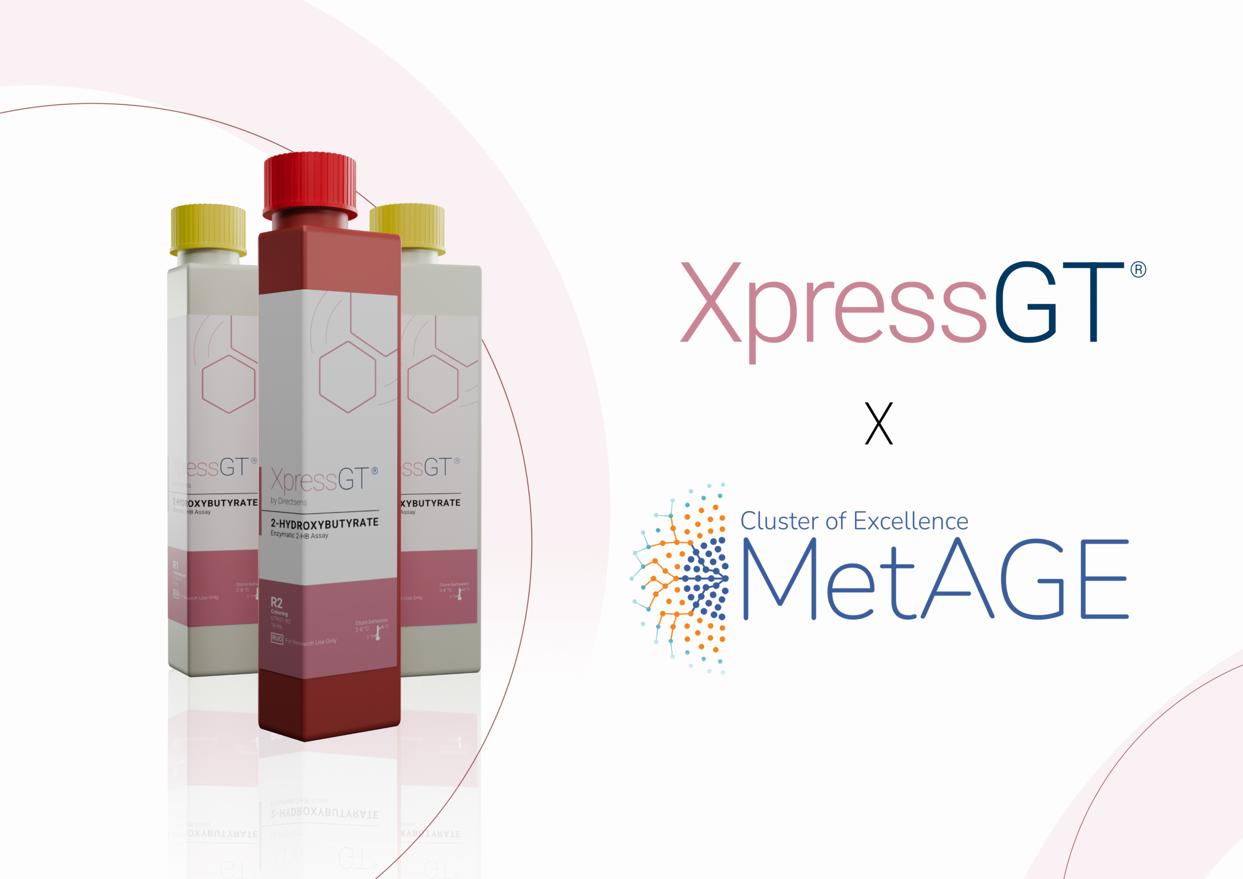 DirectSens and MetAGE To Work Together On Developing Early Type 2 ...